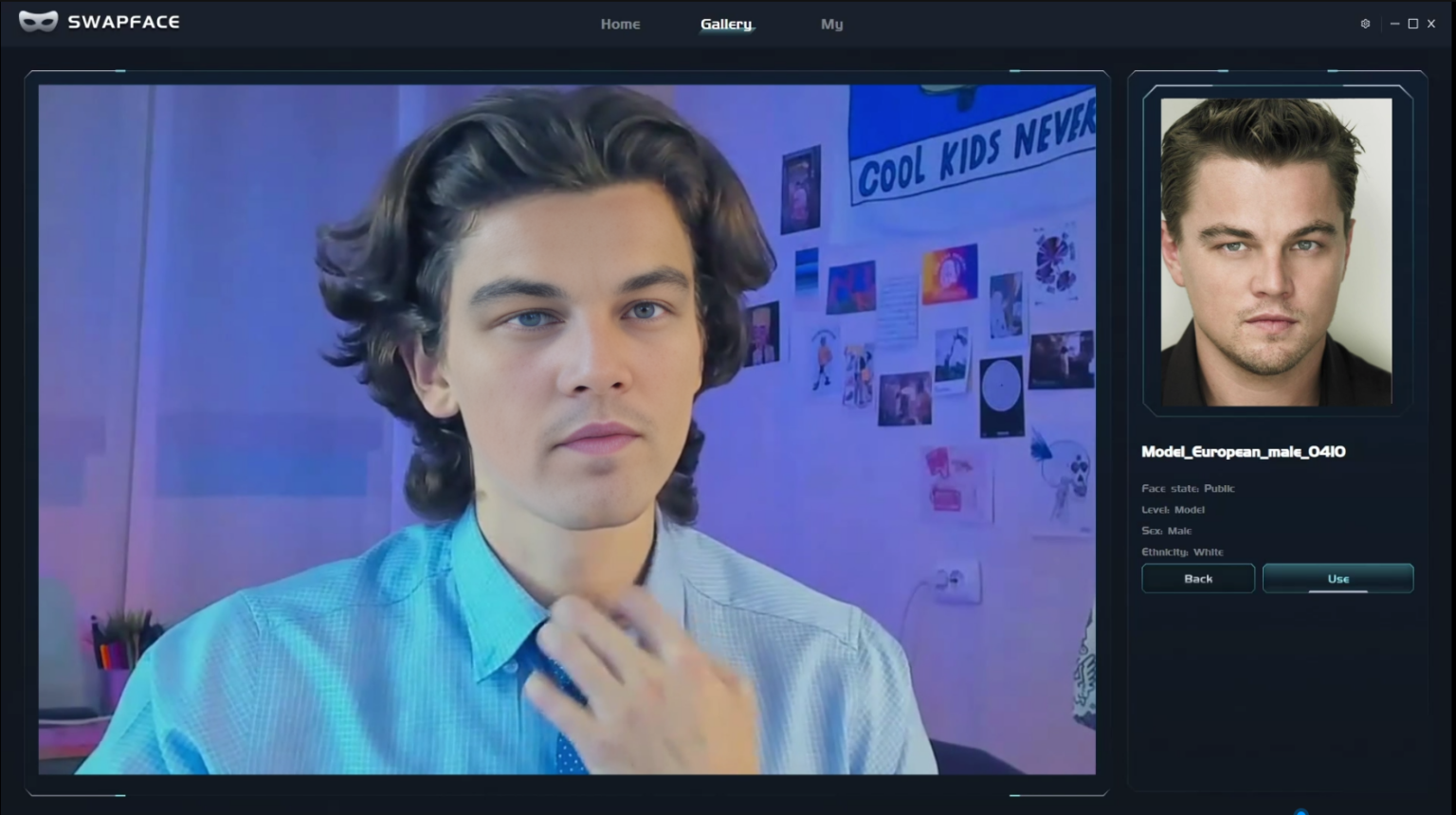 Install the swapface on windows – Swapface